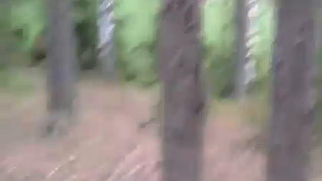 день защиты детей.mp4