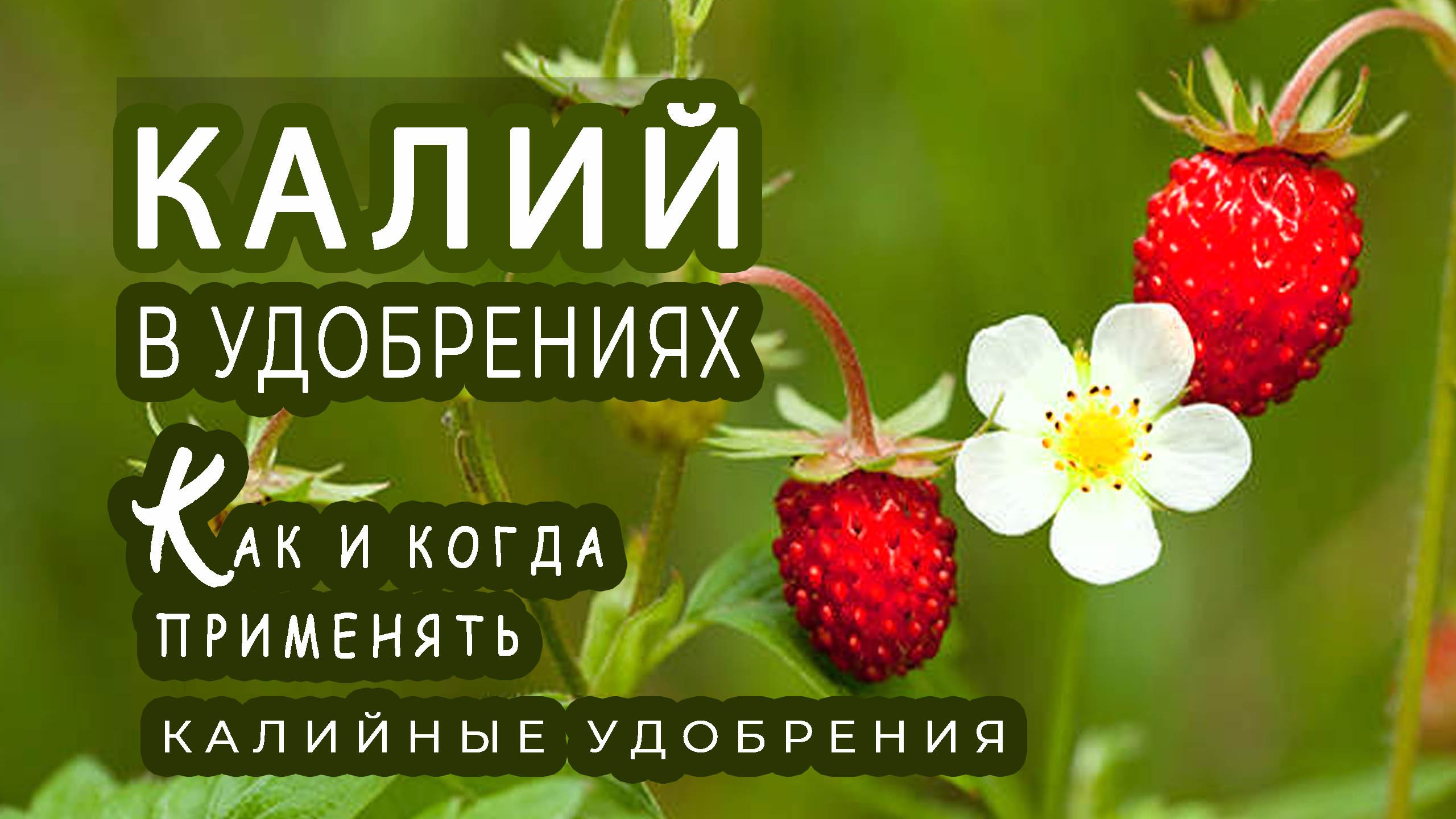 Калийные удобрения