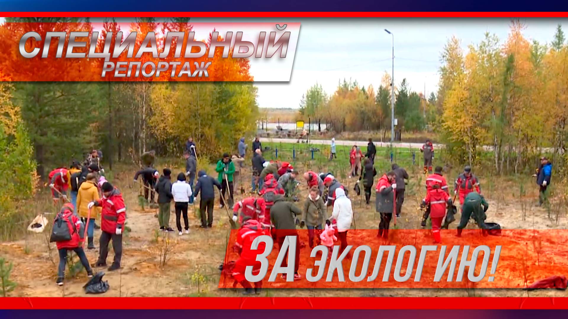 Итоги Года экологии в Пуровском районе