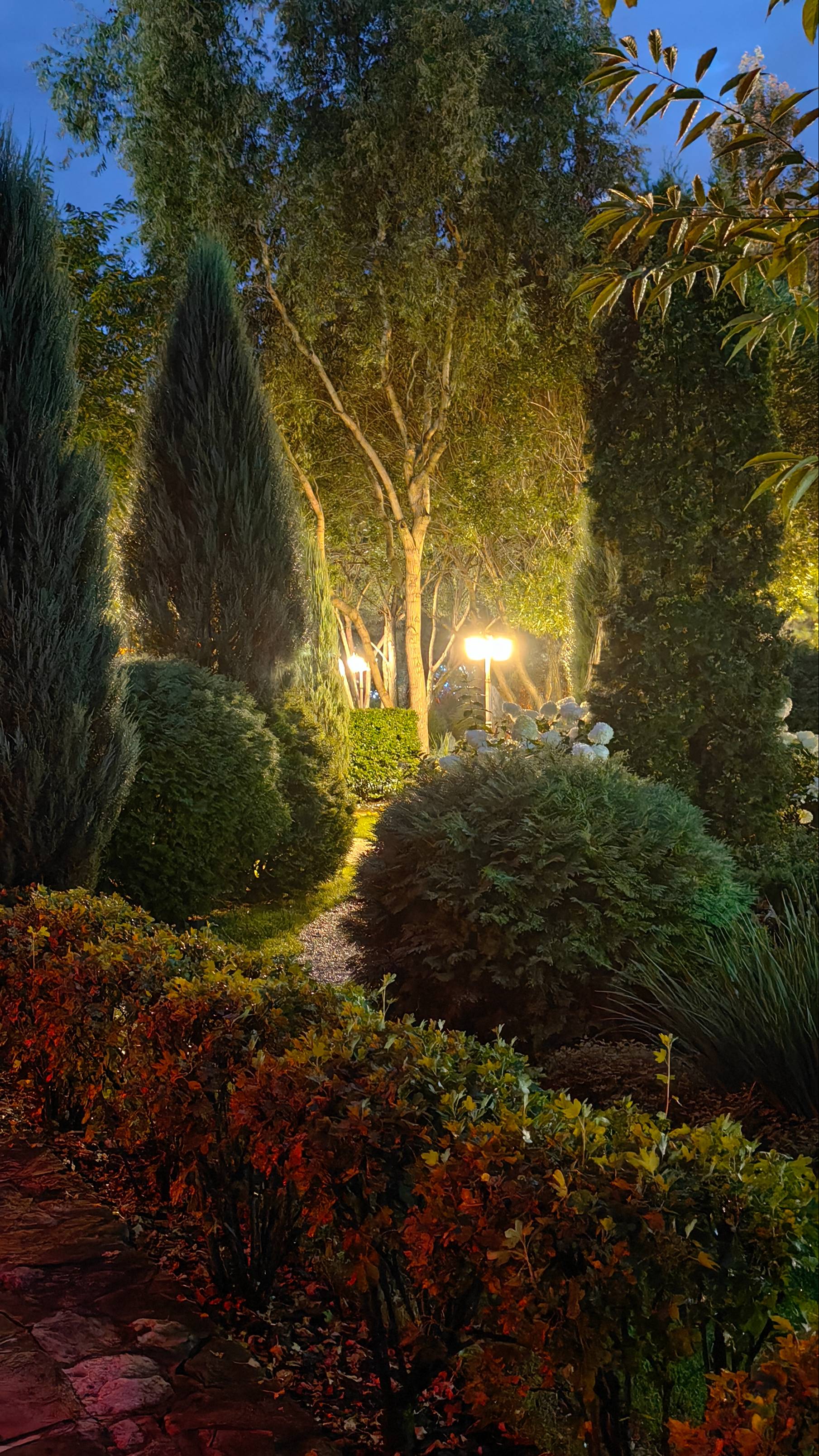 Ночная прогулка в Садах мечты - Абакан - 9 августа 2024