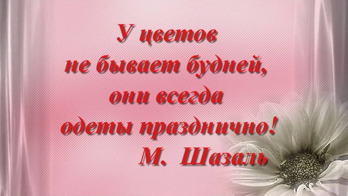 У цветов не бывает будней...