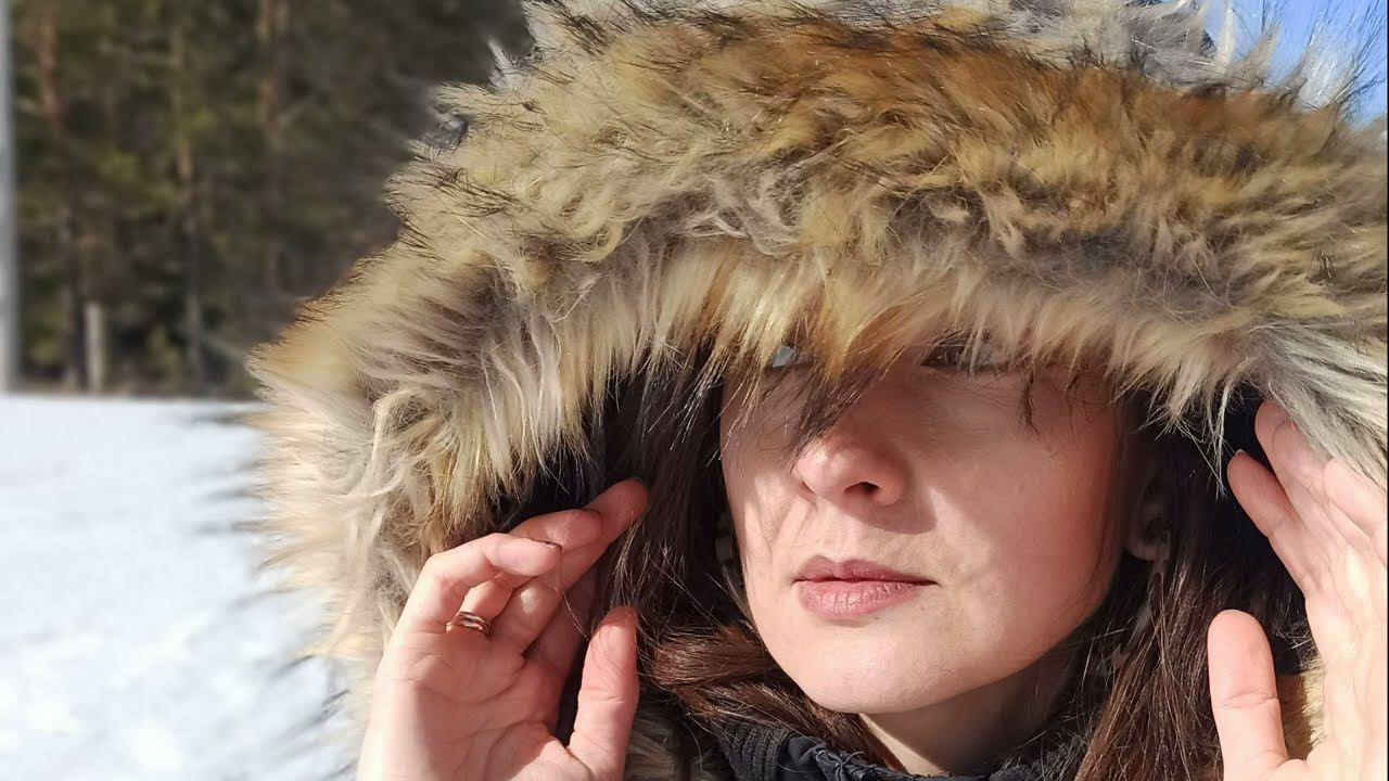 Как мы решили купить свой земельный участок. Введение