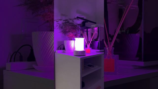 Фонарь Xiaomi