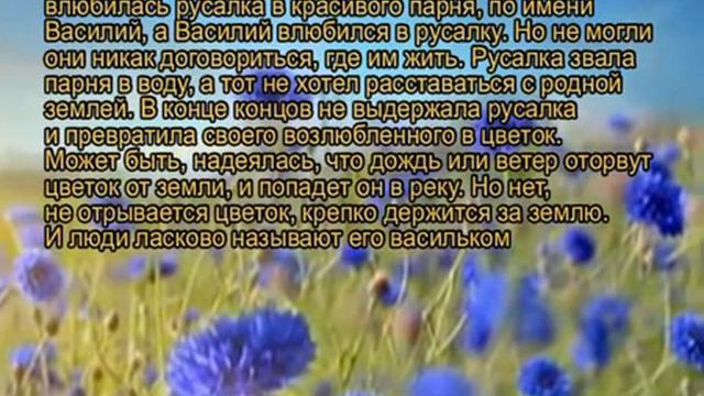 Детская библиотека №6 представляет...