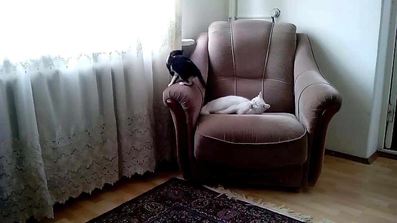 Ну, так же хочется поиграть!