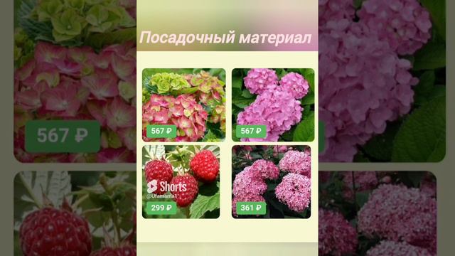 С Днём Дачника!