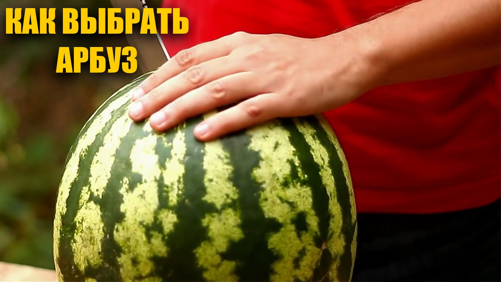 7 лайфхаков Как правильно выбрать арбуз