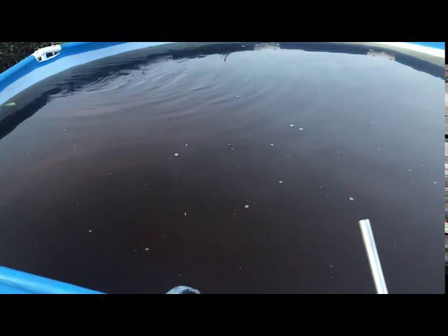 Бассейн Торфяная вода рекомендации по очистке воды убрать цветность