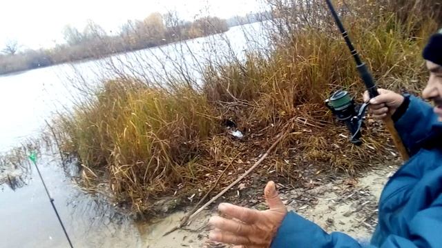 суботний выход 29.10.2022.mp4