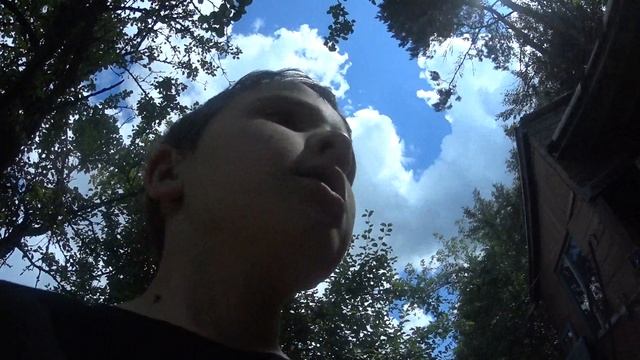 Демид на даче 09.07.23