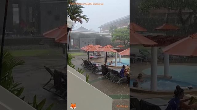 Тропический дождь в Тайланде. Июль 2023