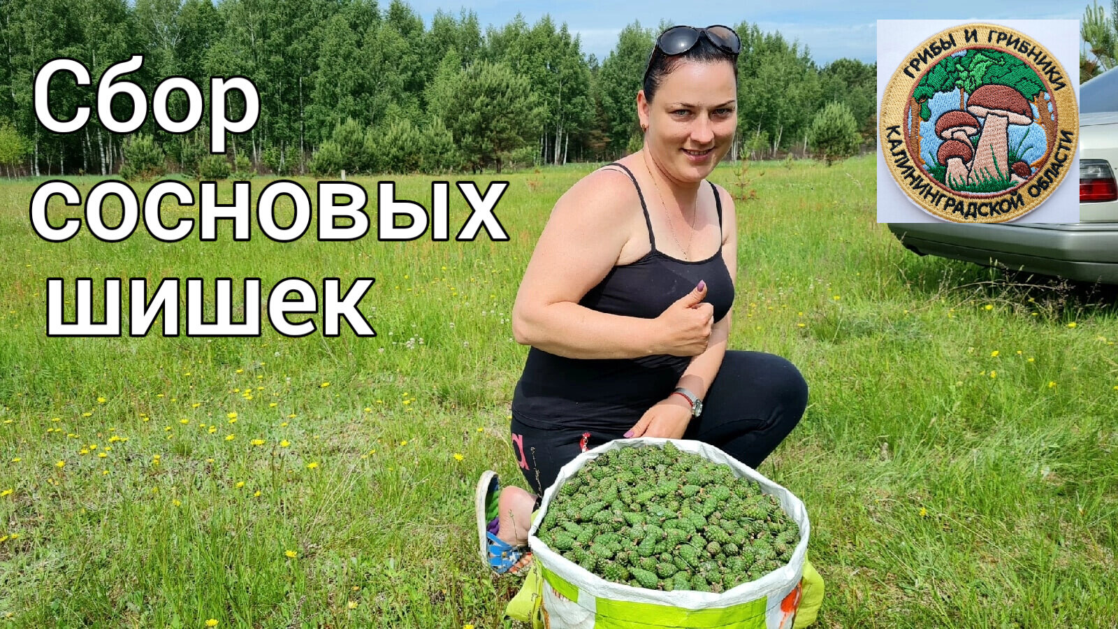 СОСНОВЫЕ ШИШКИ. КАК И КОГДА СОБИРАТЬ. ВАРЕНЬЕ. РЕЦЕПТ.mov