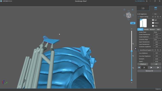 4. Main Body Support