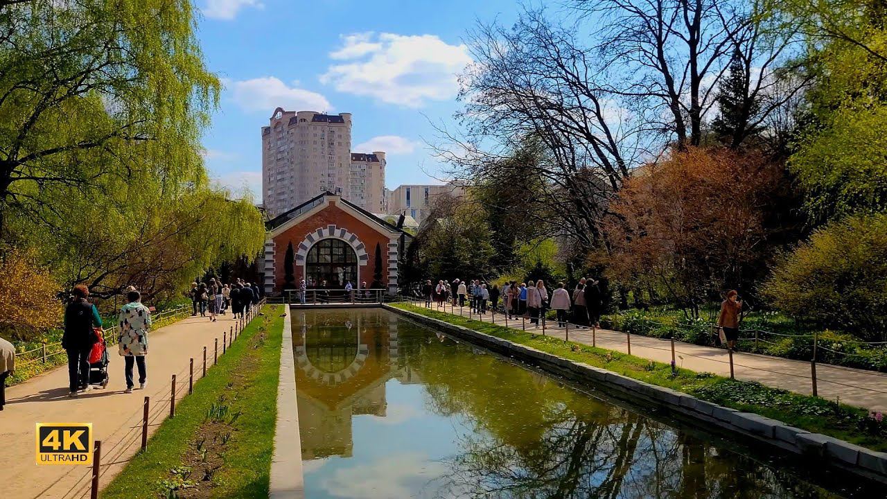 Ботанический сад МГУ. Москва
