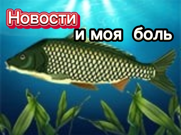 Новости и моя боль.