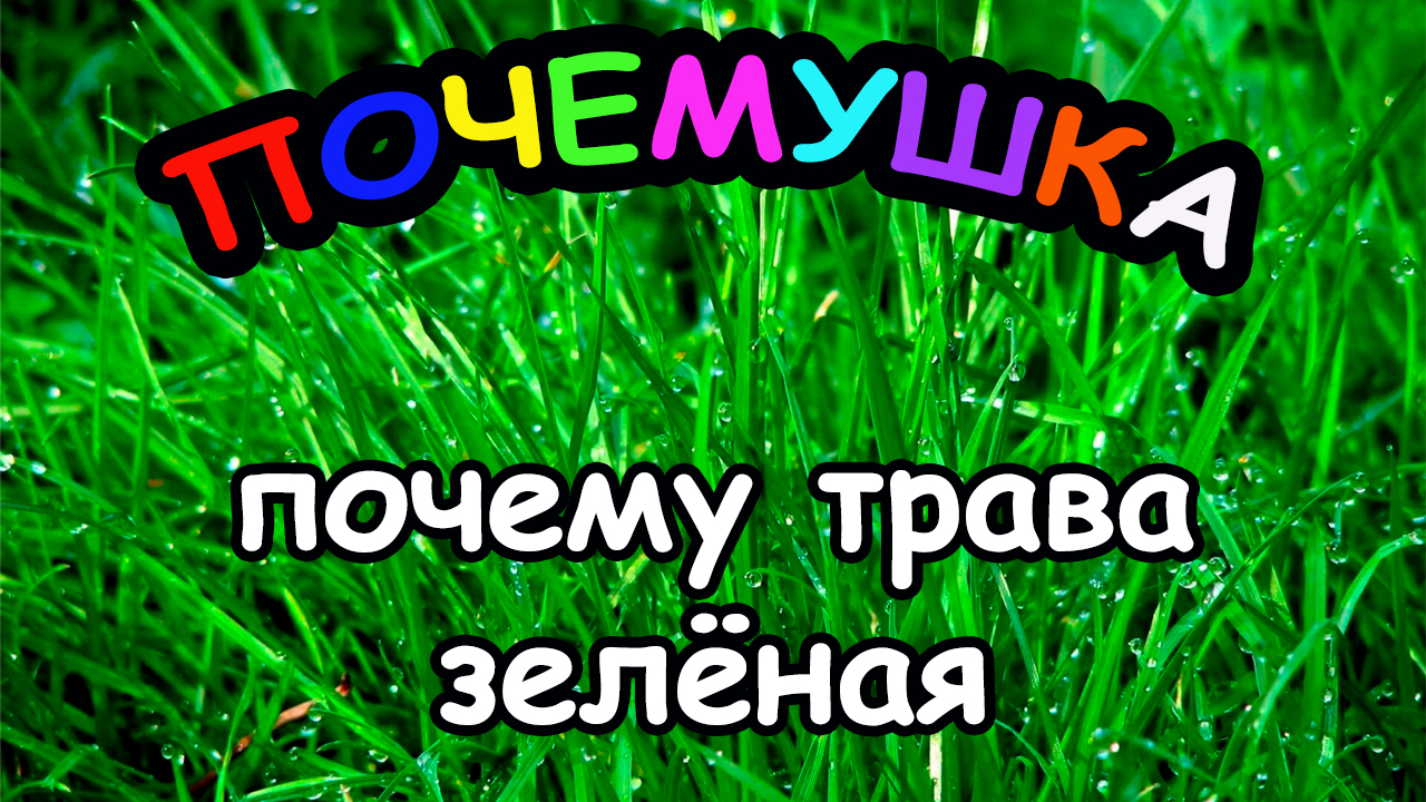 Почему трава ЗЕЛЁНАЯ?
ПОЧЕМУШКА
