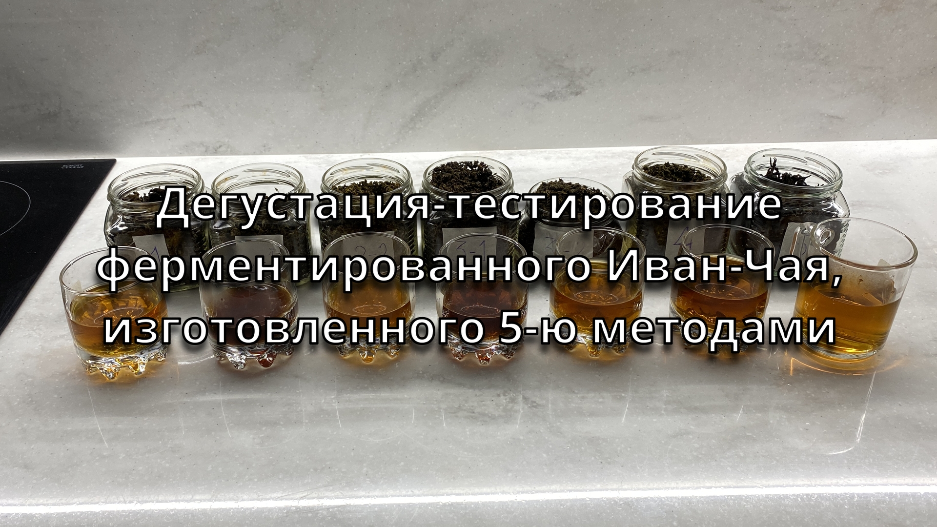 Дегустация-тестирование ферментированного Иван-Чая,изготовленного 5-ю методами