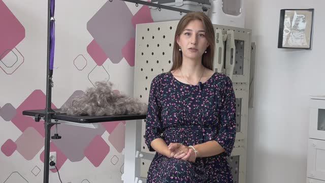 Кошка после стрижки ✂️🐈