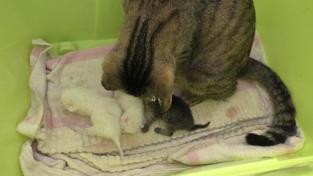 Кузина родила