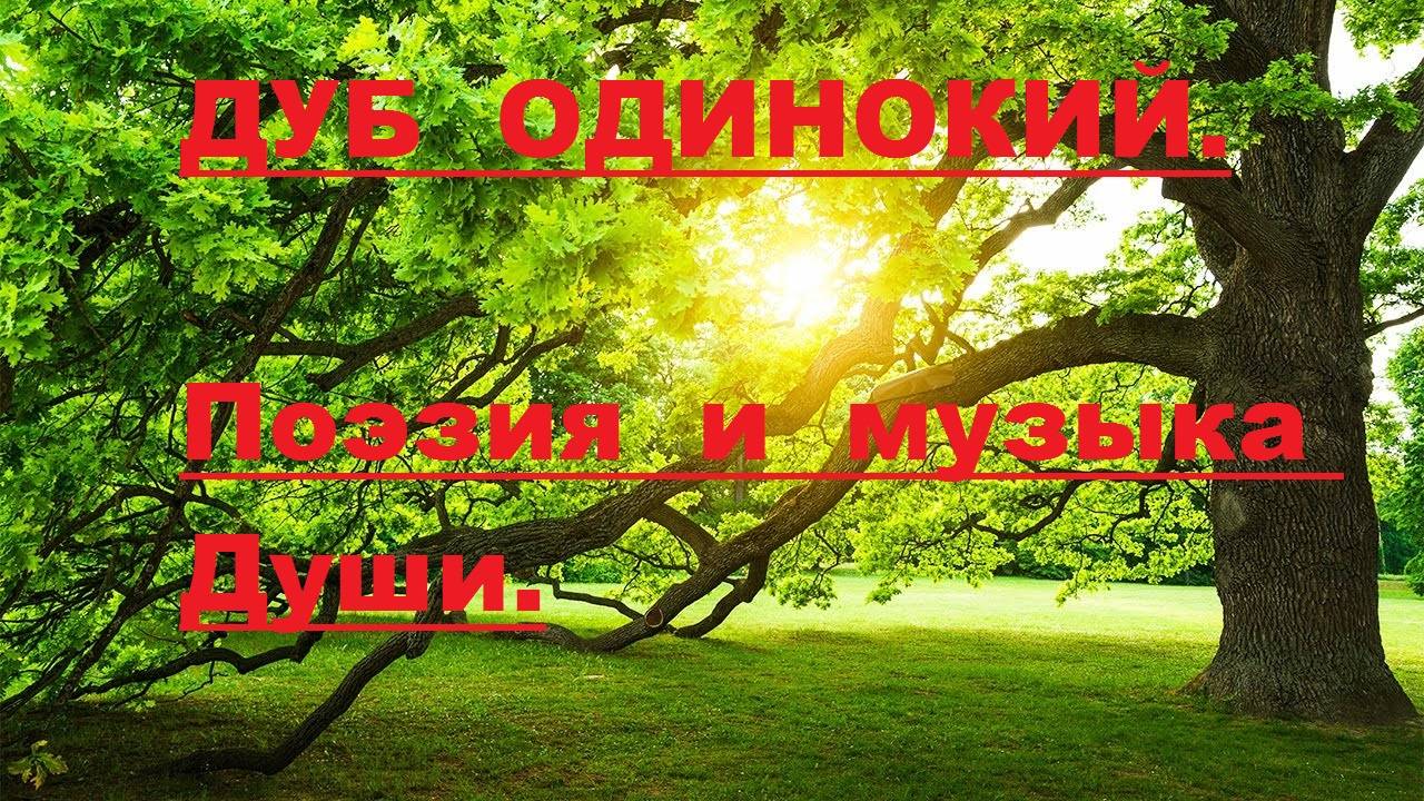 ДУБ  ОДИНОКИЙ. Автор стихотворения и видео А. Соколов. Плачет ДУДУК.