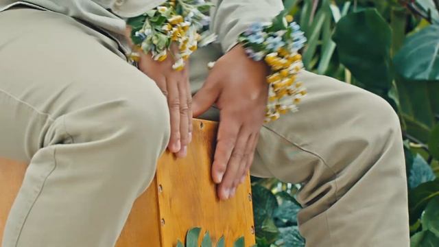 Таис Логвиненко - Весенняя кошка