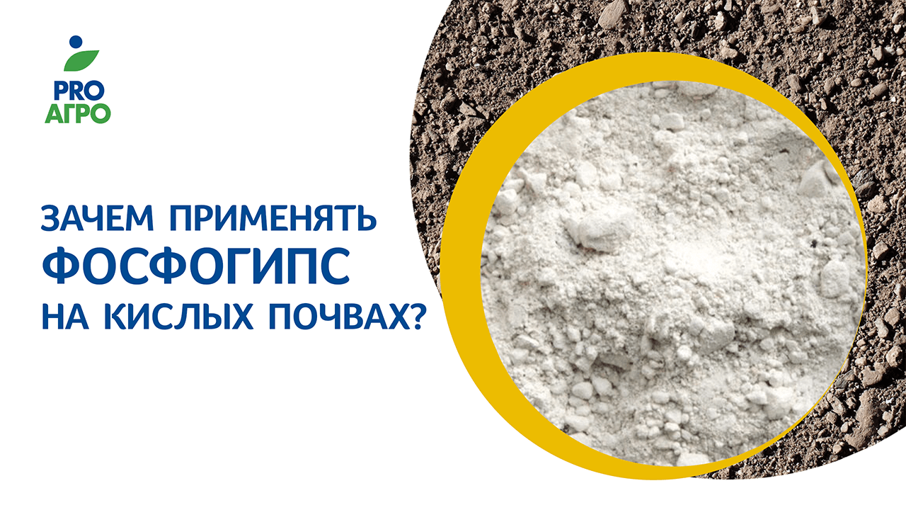 Зачем применять фосфогипс на кислых почвах?
