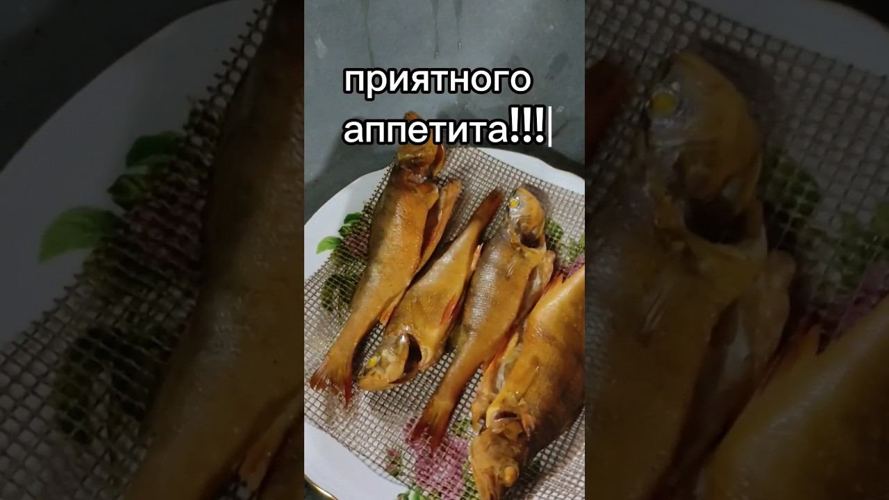 Окунь горячего копчения #рецепты #рыбарецепты #рыбагорячегокопчения #копчениерыбы
