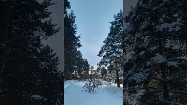 Красивая зима в нашем Подмосковье❄️?❤️