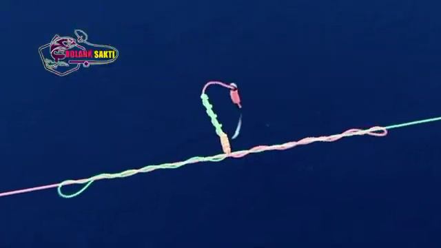 The best way to tie T knot - Fishing knots