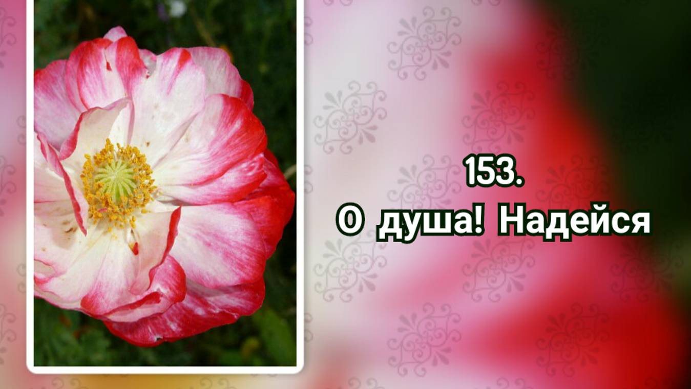 Гимны надежды 153 О душа! Надейся (-)