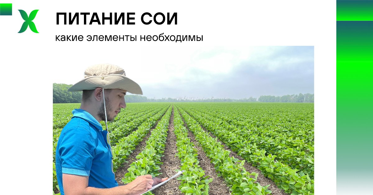 Минеральное питание сои / Потребность в элементах питания