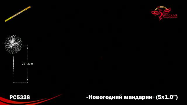 РС5328 Новогодний мандарин