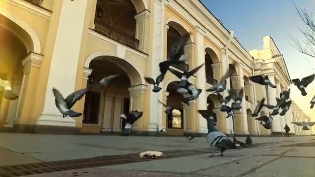 Питер выдал день хороший(Сергей Тычинский).mp4