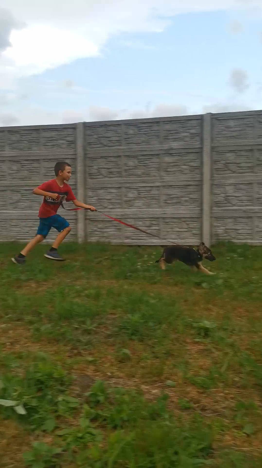 ВОСПИТЫВАЮ ИДЕАЛЬНОГО ПИТОМЦА