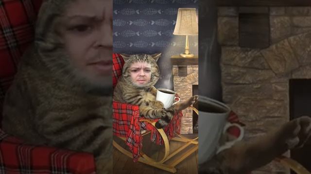 Хочу быть котиком и лежать всегда дома=).mp4