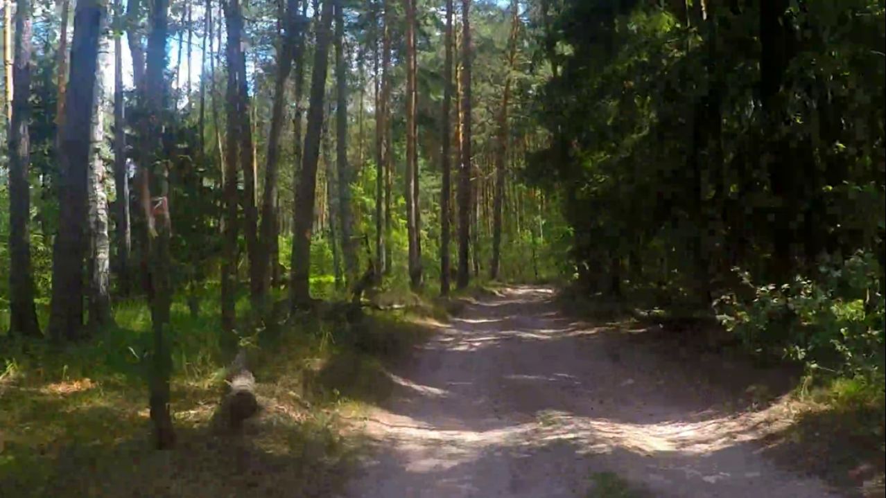 ОЗЕРО ЧЕРНЕНЬКОЕ ПОЕЗДКА 2022.08.05