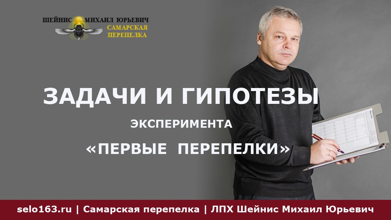 Задачи и гипотезы эксперимента Первые перепелки