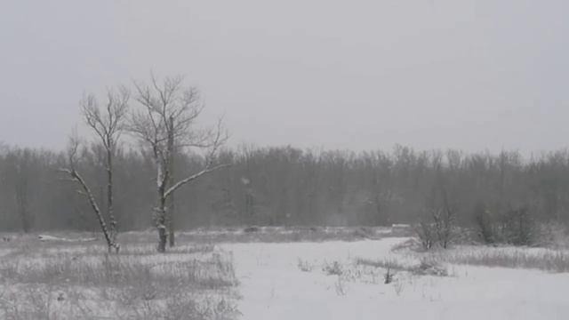 Алексей Бандарчук - Ево-е (cover  Игорь Растеряев)