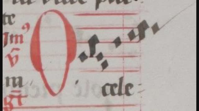 O caelestis norma vitae