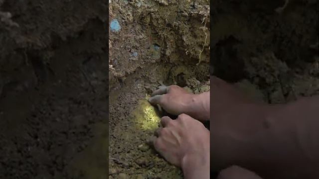 Открытие круглой золотой руды Охотники за сокровищами