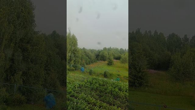 Начинается дождь 🌧️