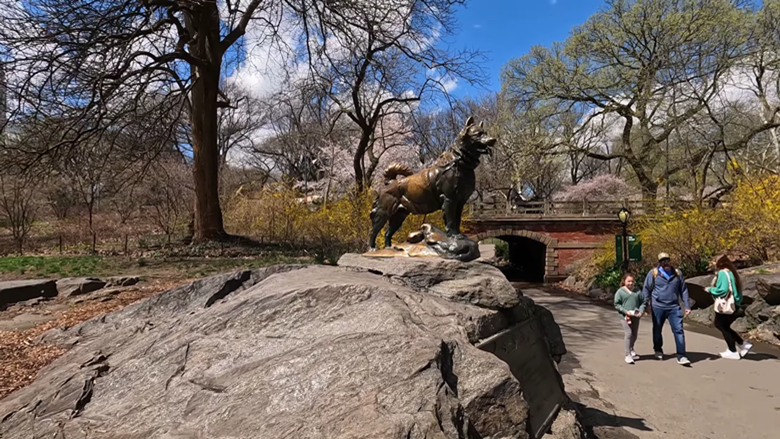 Прогулка по НЬЮ-ЙОРКУ , ЦЕНТРАЛЬНЫЙ ПАРК - МЭДИСОН-АВЕНЮ