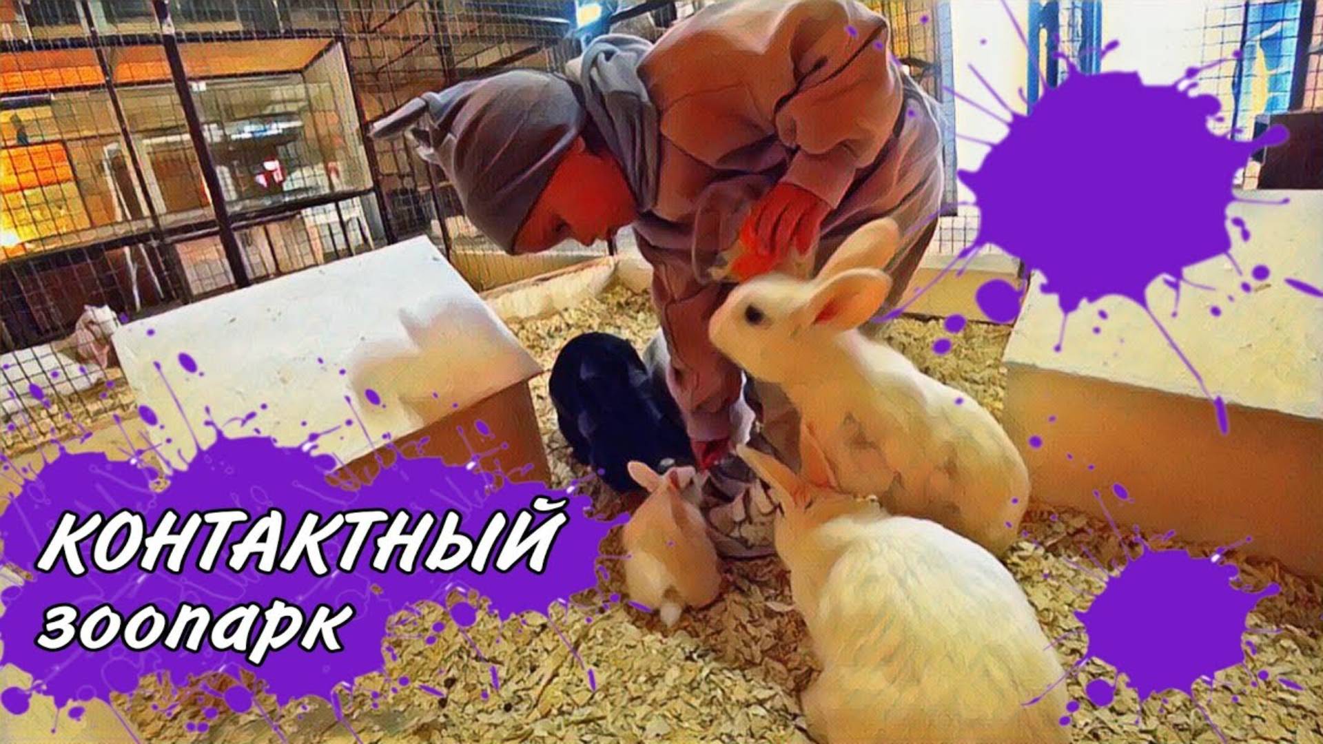 ВИТЯЗЕВО / КОНТАКТНЫЙ ЗООПАРК / АНАПА  2021