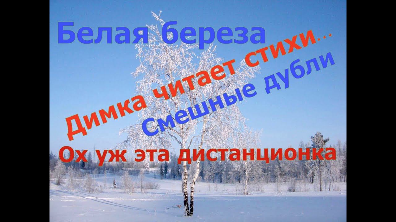 Смешное видео. Дима Поттер и Белая Береза. #Белаябереза#Пушкин#Смешноевидео#Дети#Киберсемейка#Димон