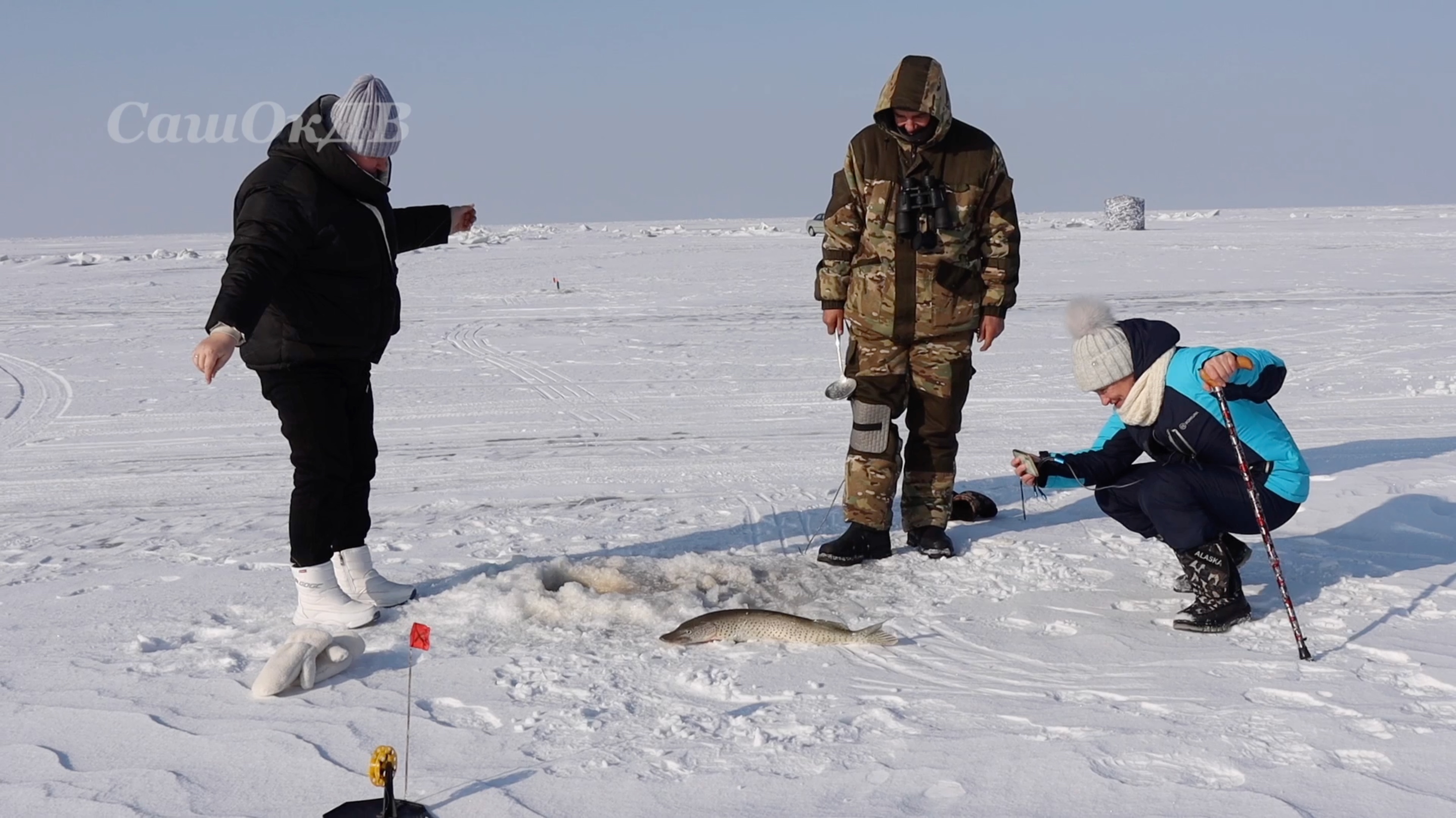 Озеро Ханка. Щука 2024. Щука на жерлицы...