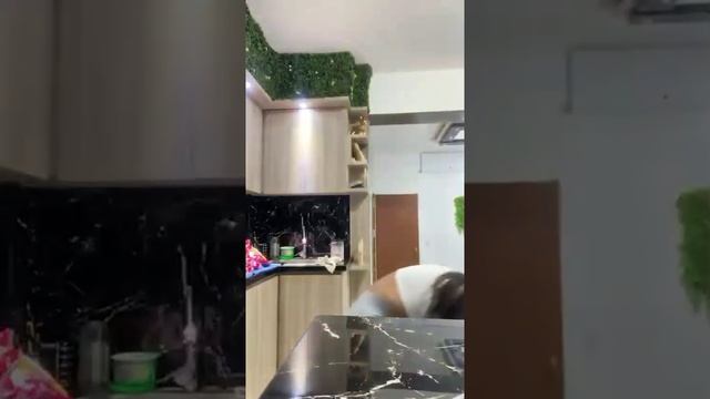 Это фиаско #ПРИКОЛЫ #УГАР #ЮМОР