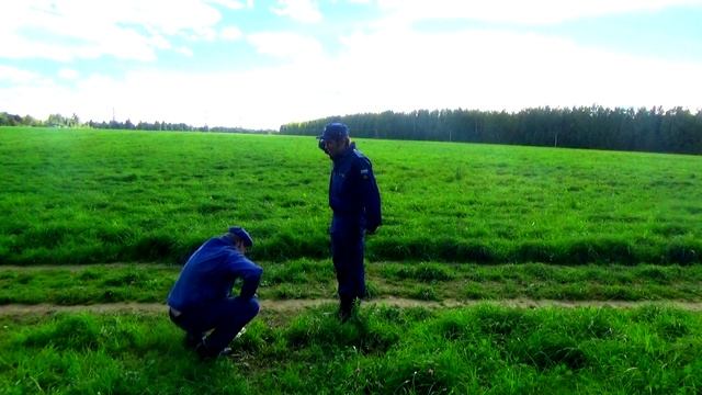 "Что происходит?" - "Дырка в заборе" (2021)