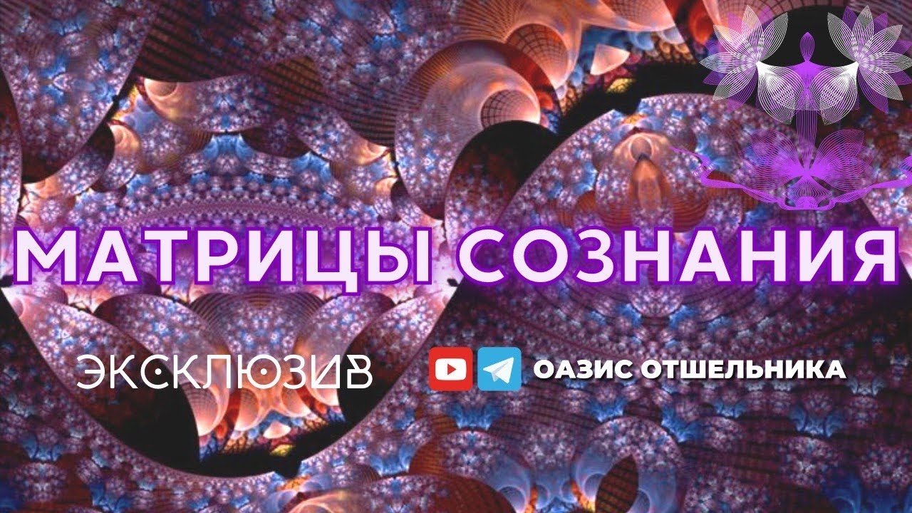 МАТРИЦЫ СОЗНАНИЯ, эксклюзив ОАЗИС ОТШЕЛЬНИКА