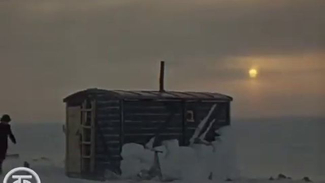 "На родине белых медведей"