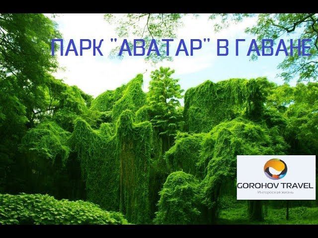 Парк Альмендарес, Гавана, Куба. Parque Almendares, Habana (Gavana).